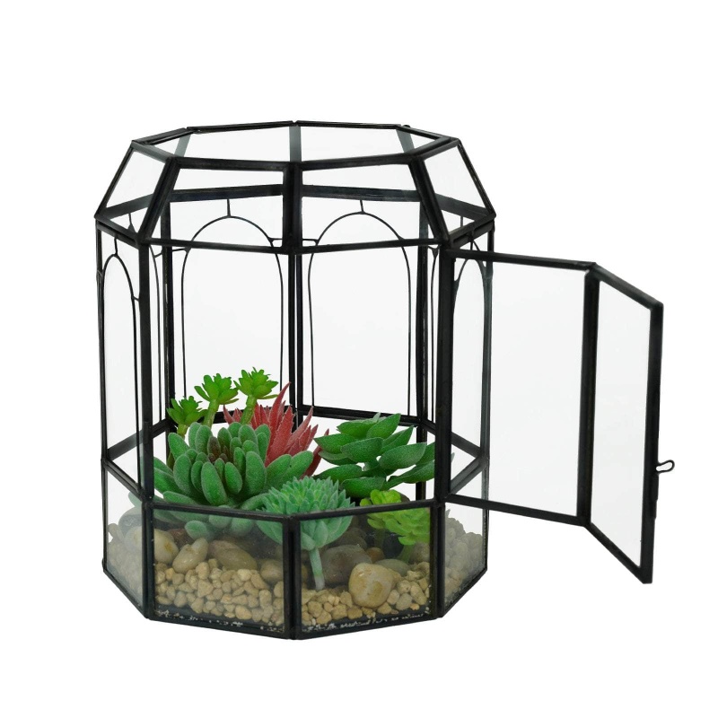 Ferrisland Glass Terrarium Plants With Lid