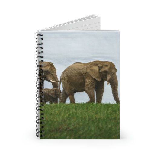 Buy Printify Spiral Journal Notebook Online - 118 Ruled Line Pages