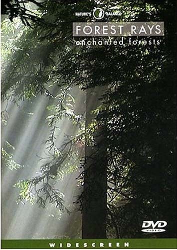 Buy Forest Rays - Enchanted Forests : Nature's Balance DVD Online