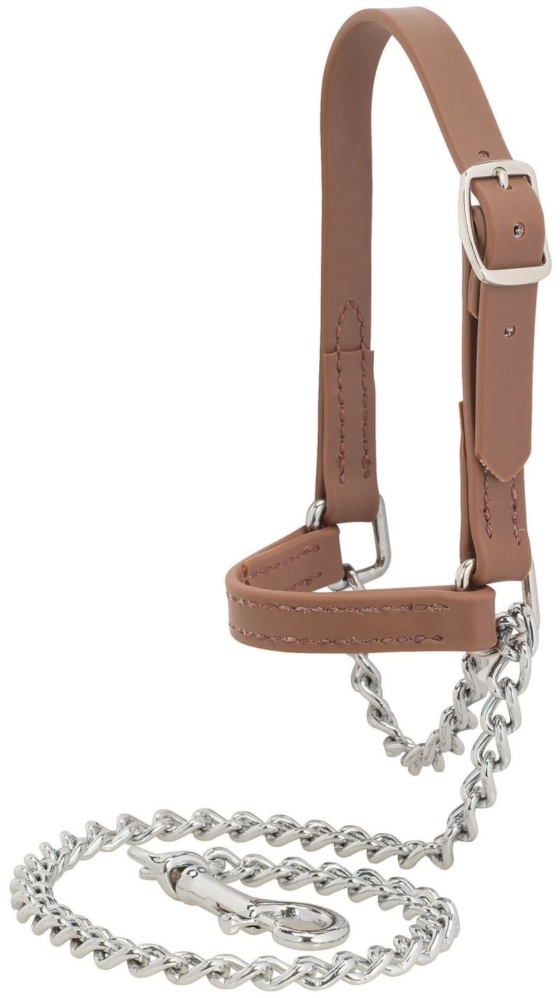 Buy Brahma Webb Show Goat Halter Online - Weaver