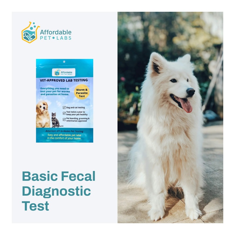 Affordable Pet Labs - Basic Fecal Diagnostic Test For Dogs & Cats, Easy ...