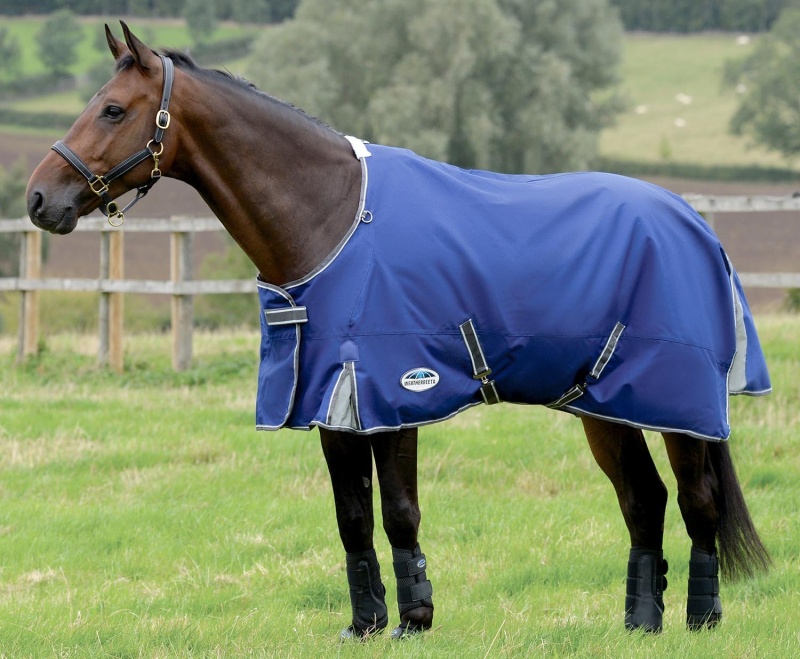 Buy Weatherbeeta Comfitec Premier Free Ii Standard Neck Horse Blanket ...