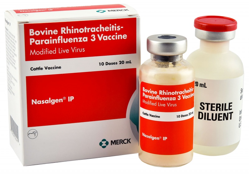 Bovilis Nasalgen Ip Cattle Vaccine