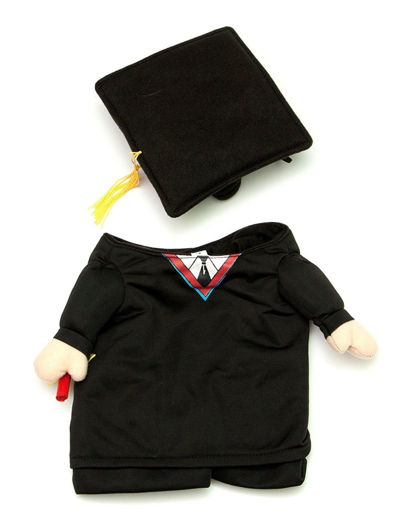 Buy Midlee Fake Arms Graduation Costume for Small Dogs Online
