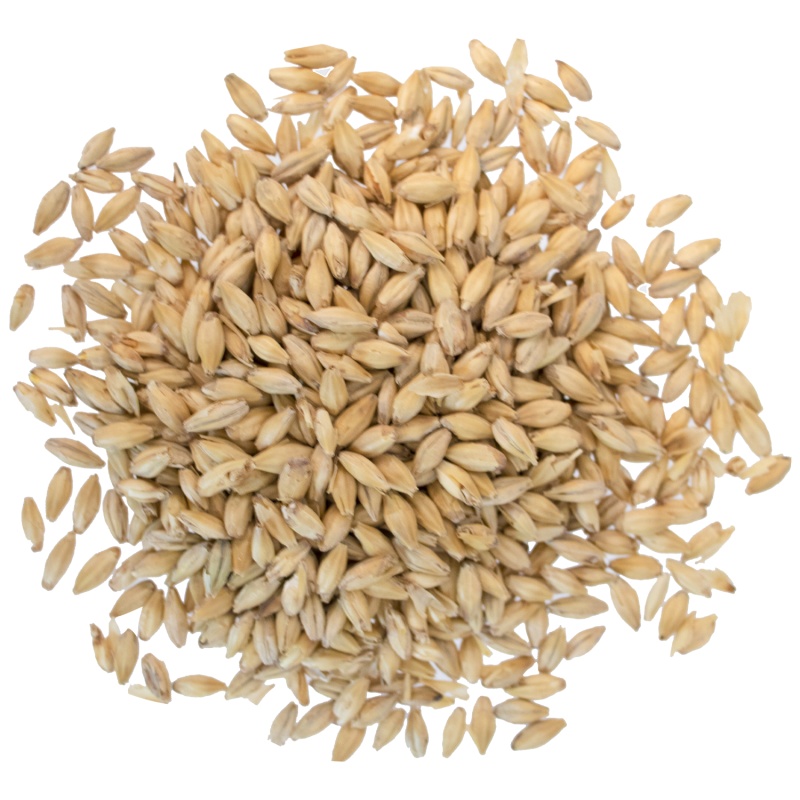 2-Row Malt - Rahr Malting