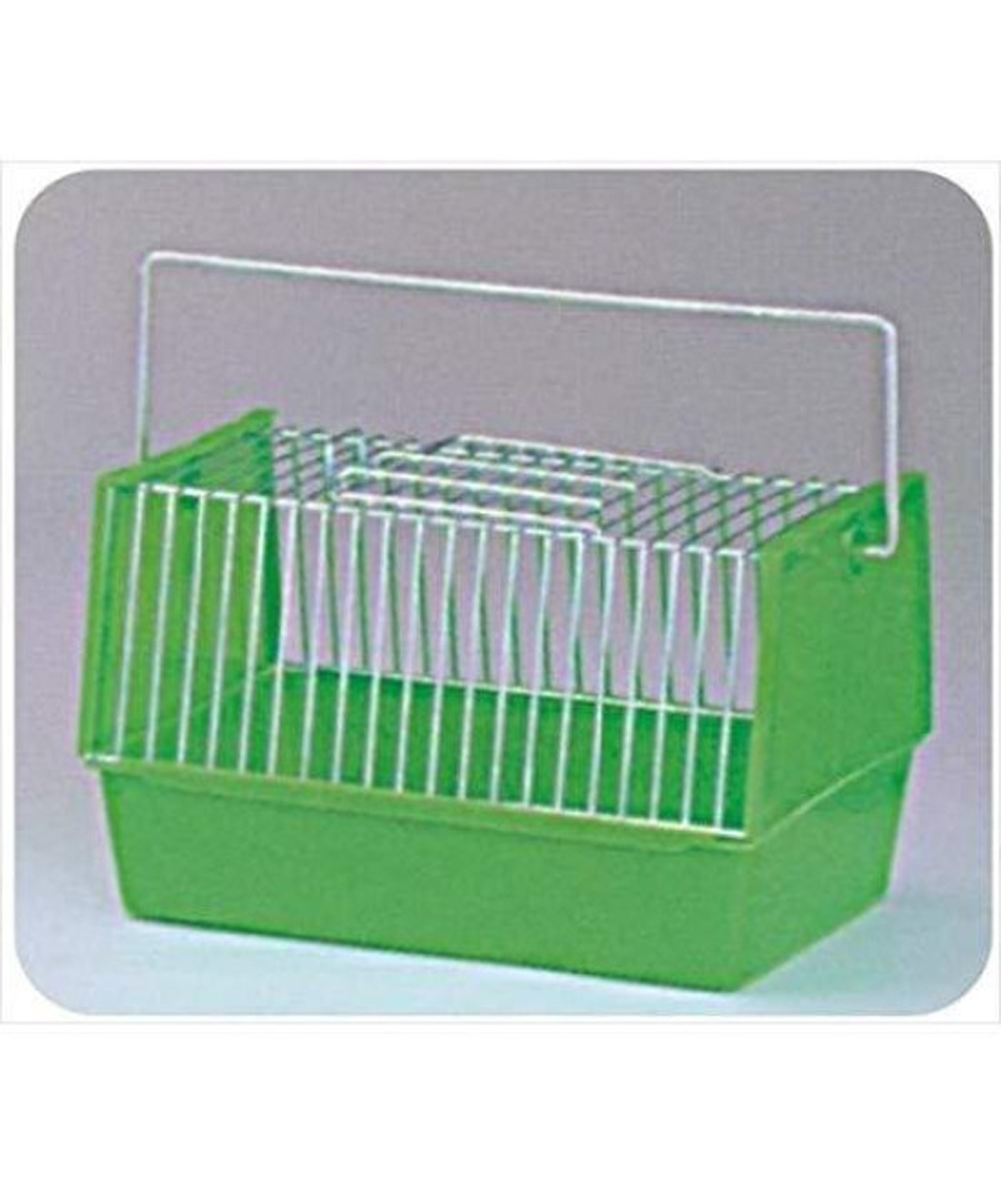 A And E Cages Economy Travel Small Animal Carrier 6Ea 7In X 6In X 9 In