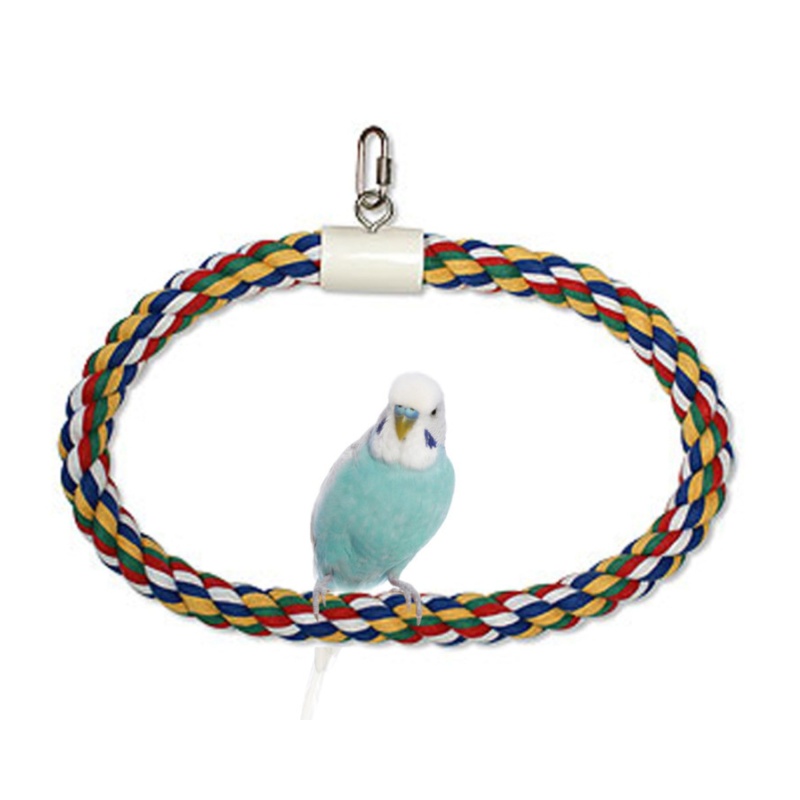Buy JW Pet Swing N Perch Ring Multi-Color Medium Online - Bird Perches ...