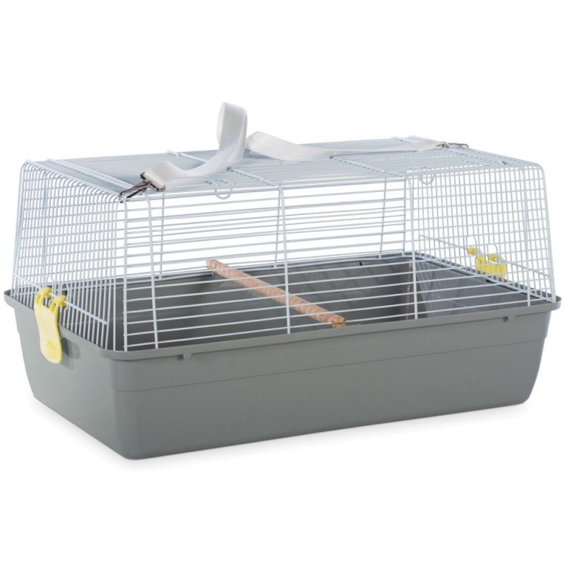 Traveling with my rats Rat Forum