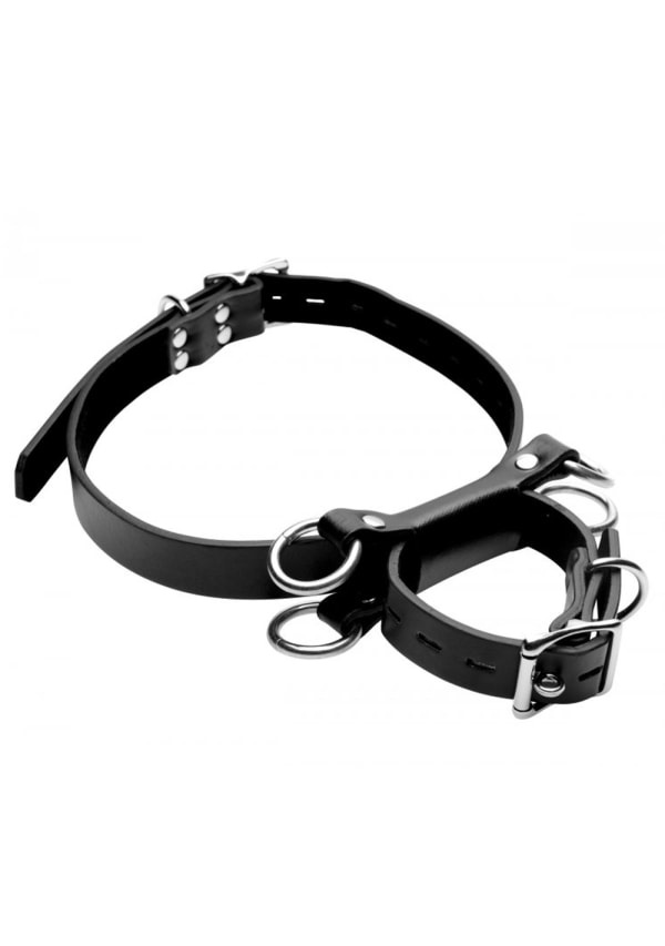 Frog Tie Kneeling Restraint System