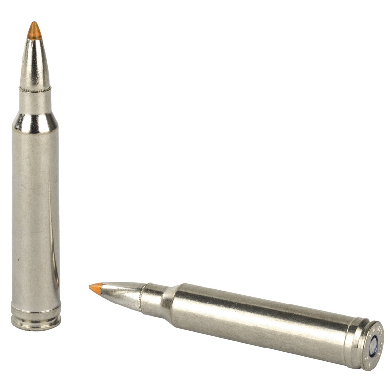 Federal, Premium, 300 Win Mag, 180 Grain, Trophy Bonded Tip, Hollow ...