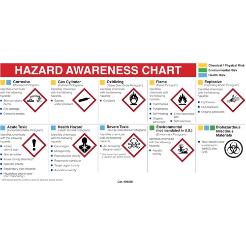 Mini Msds Chart- English