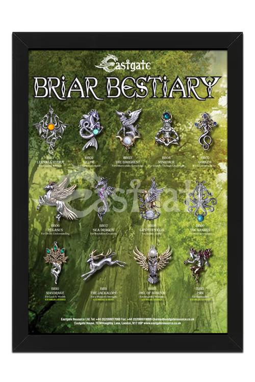 Buy Online: Briar Bestiary Display Frame - Showcase Your Favorite ...