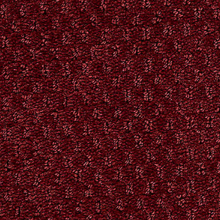 Buy Influencer Classic Update Dark Crimson Nylon Carpet - Loop Online
