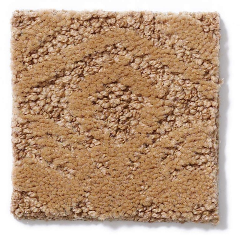 Buy Caress By Shaw Modern Amenities Brass Lantern Nylon Carpet ...