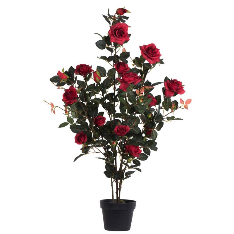45" Red Rose Plant In Pot
